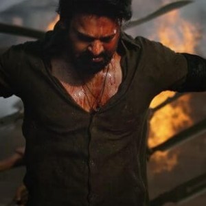 Fred's Big Run - Christina Kumar